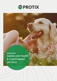 Dental Treat Circular Pet | Estudios y base científica | Protix